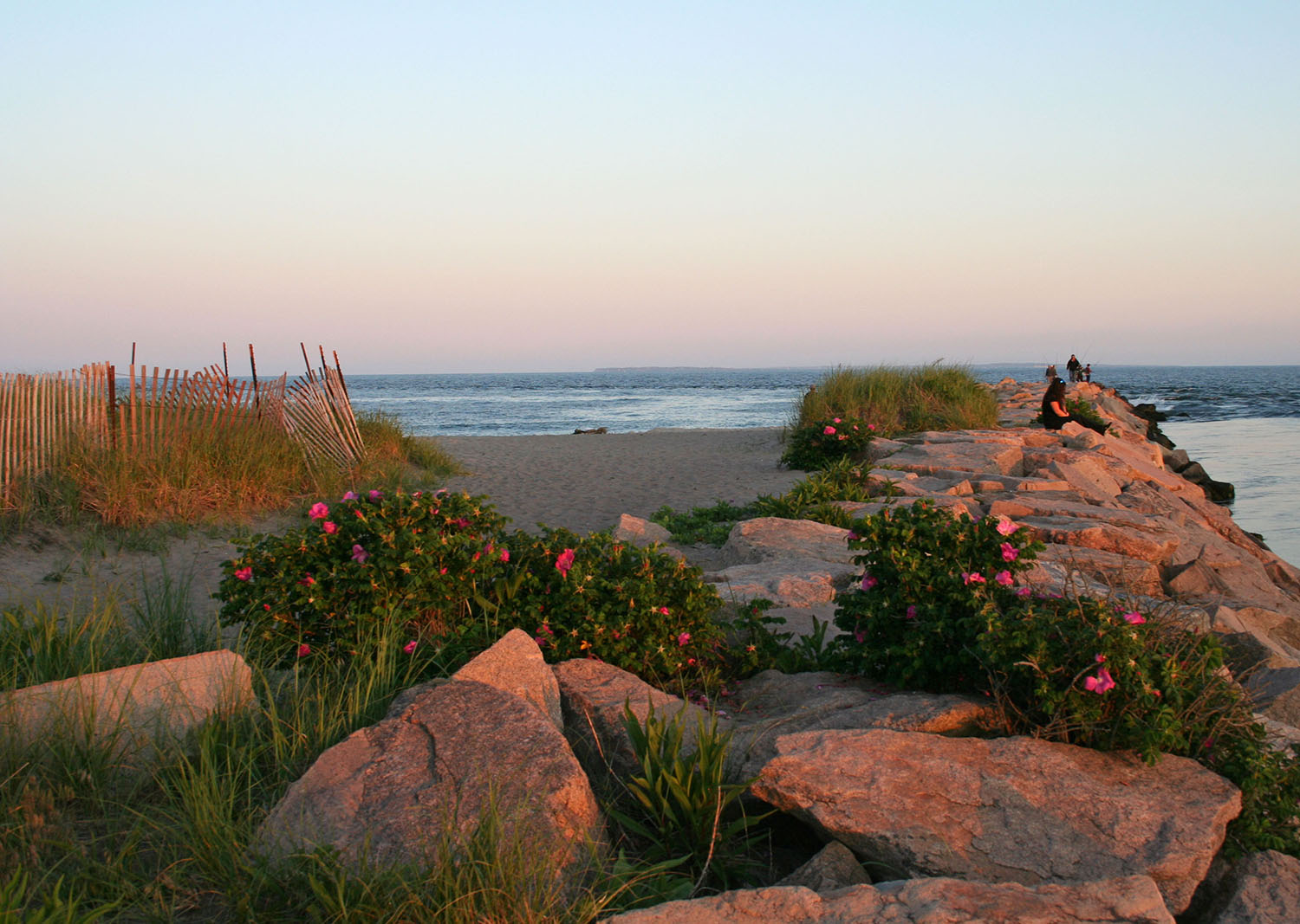 The Color Of Light - Paint With Julie Brayton